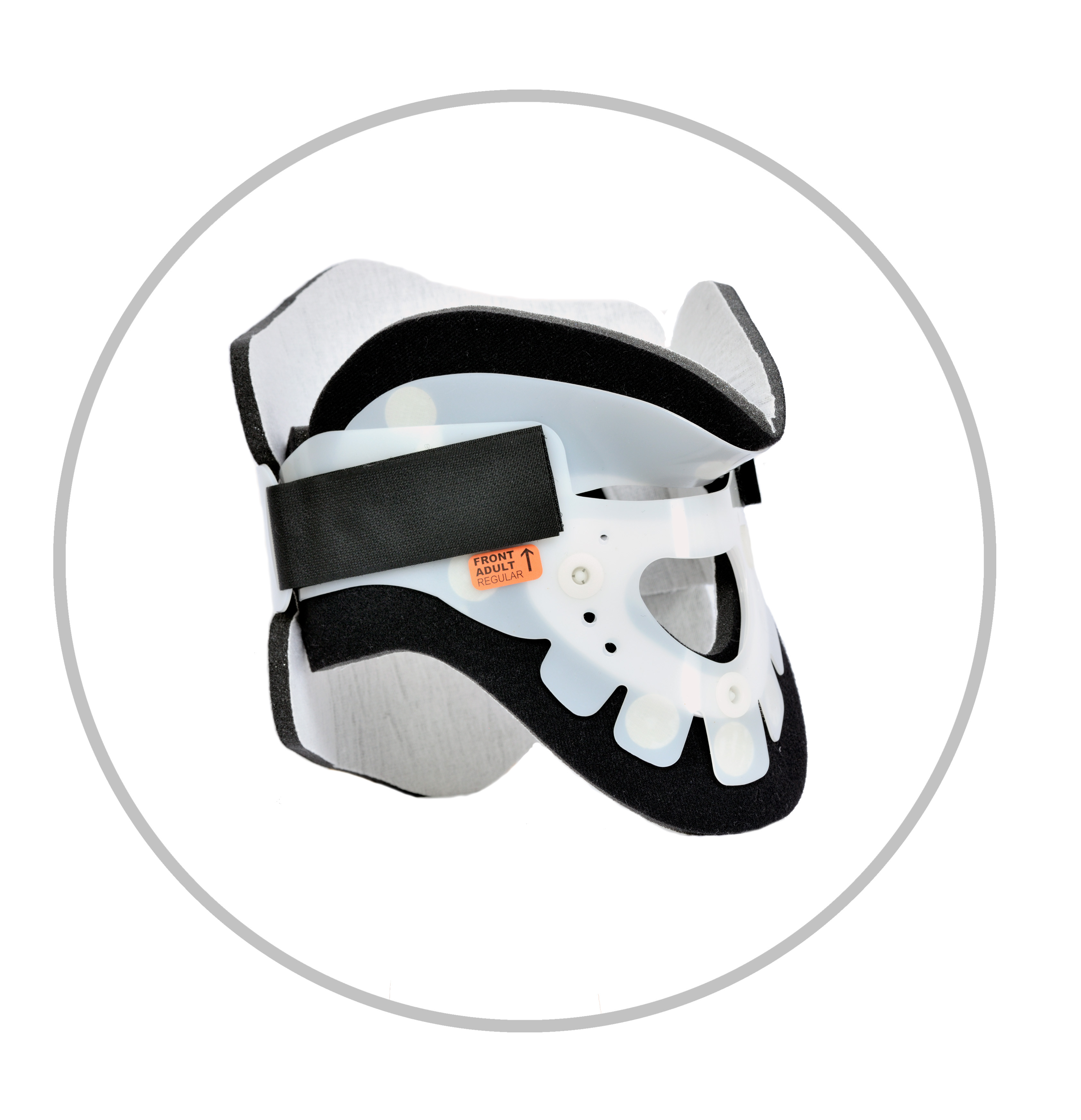 Spinal - Ortho Active